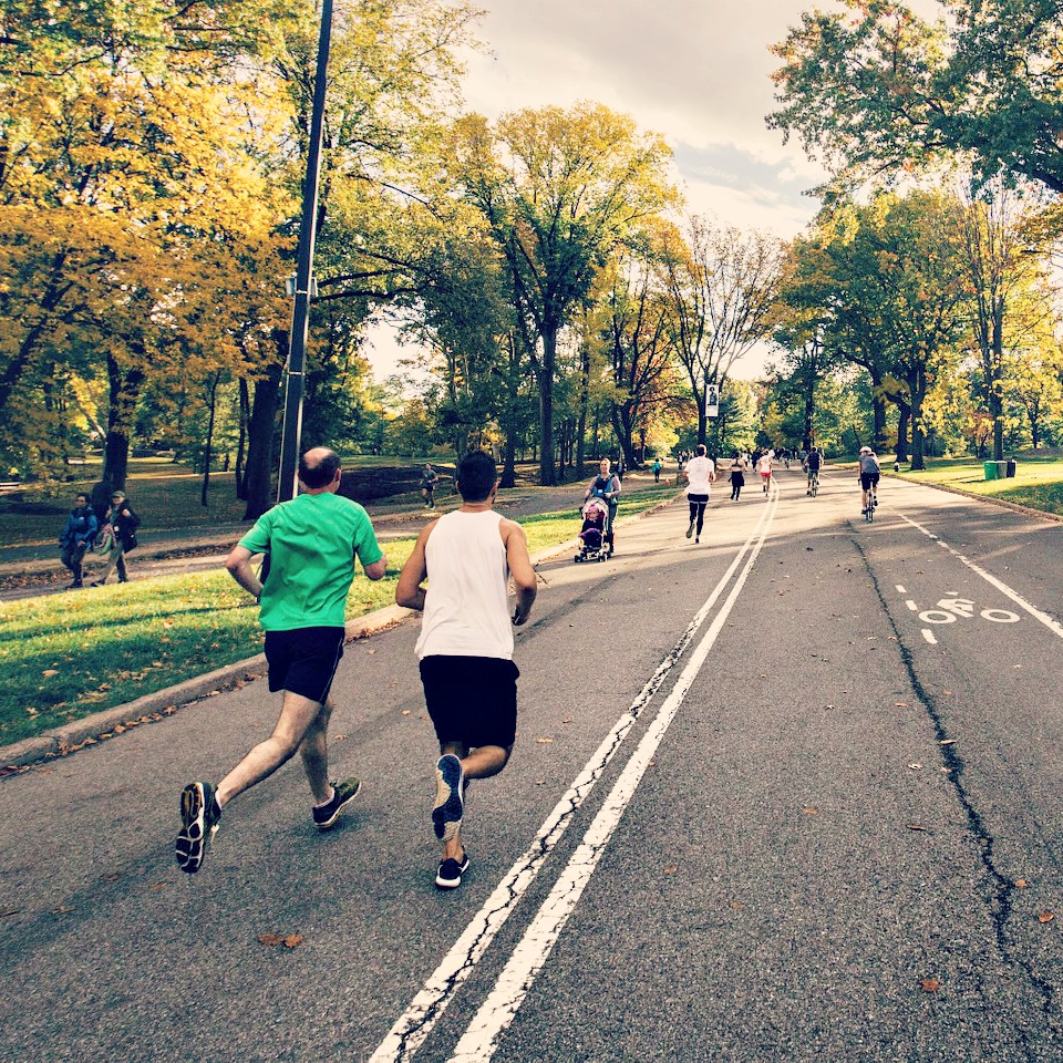 Building a Wellness Team – SBHA Toolkits